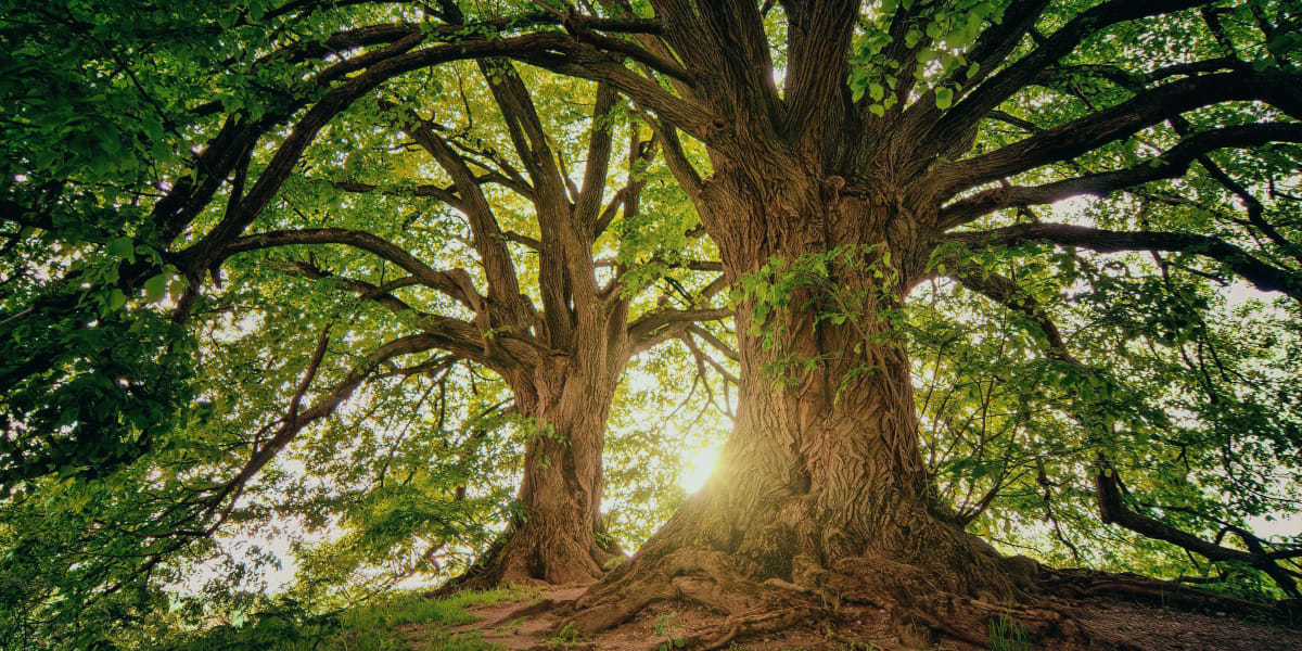 To Remain in Him--a Prayer for Your Heart - Welcome Grace