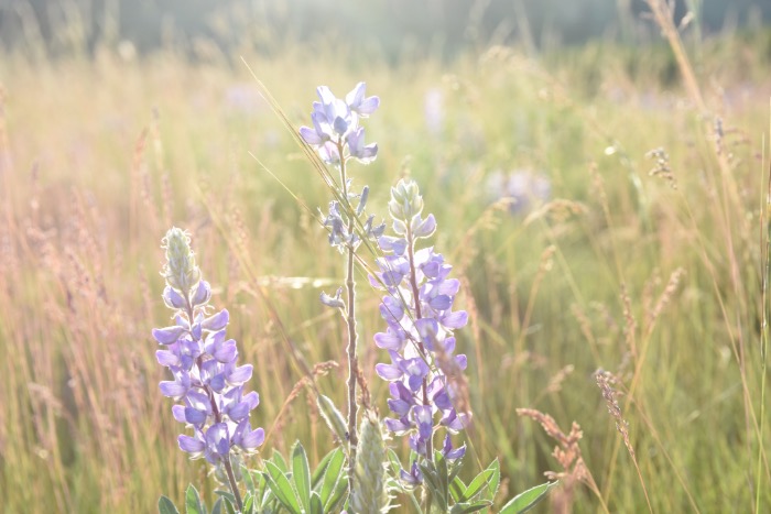 A Blessing for When Things are Good or Bad - Welcome Grace